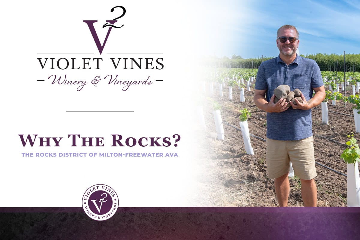 Why The Rocks (District)? - Violet Vines