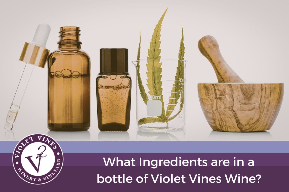 What's Actually in a Bottle of Violet Vines Wine? - Violet Vines